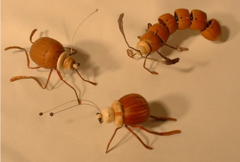 Nut bug group - HereNorThere